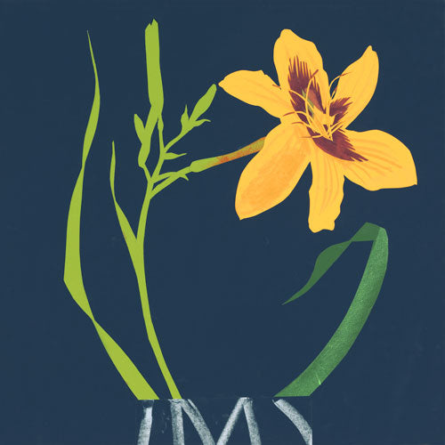 Lily II – Nancy Hammond Editions