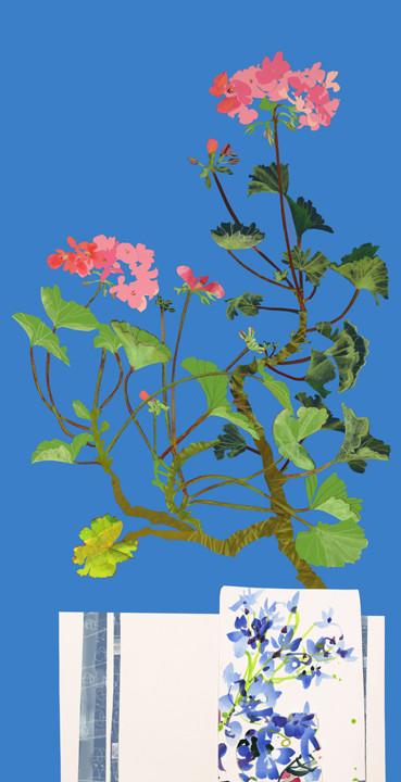 Tall Geranium – Nancy Hammond Editions